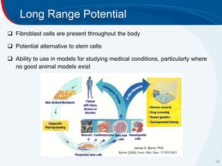 Fibrocell Power Point | PPTX