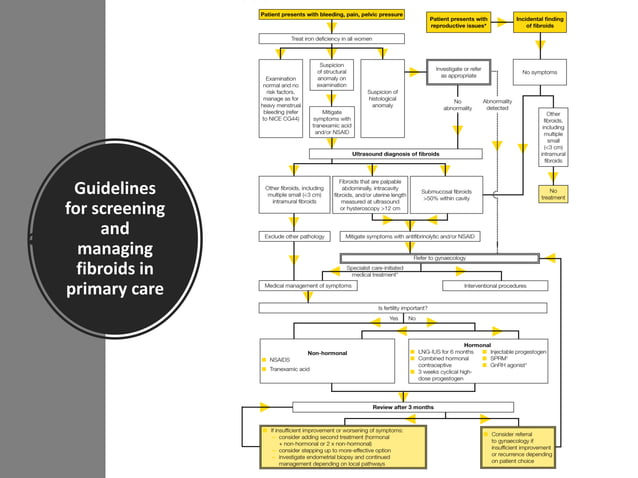 Uterine Fibroids (Leiomyomata): Investigations and Treatment | PDF
