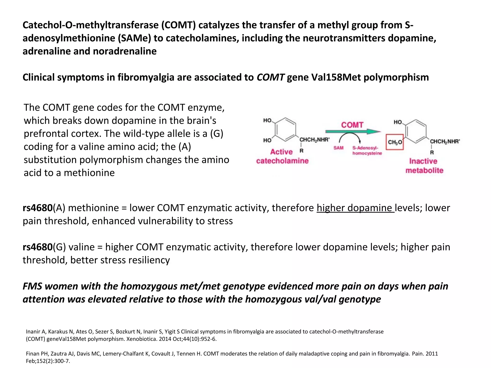 Fibromyalgia: a clinical approach | PPT