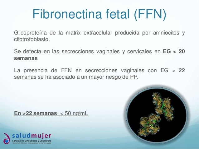 Test Fibronectina Fetal APP