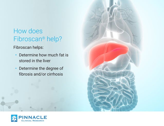 What is Fibroscan? | PDF | Medical Tests | Medical Health
