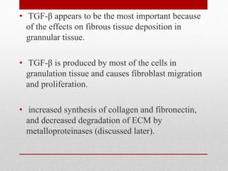 Fibrosis and scarring | PPTX