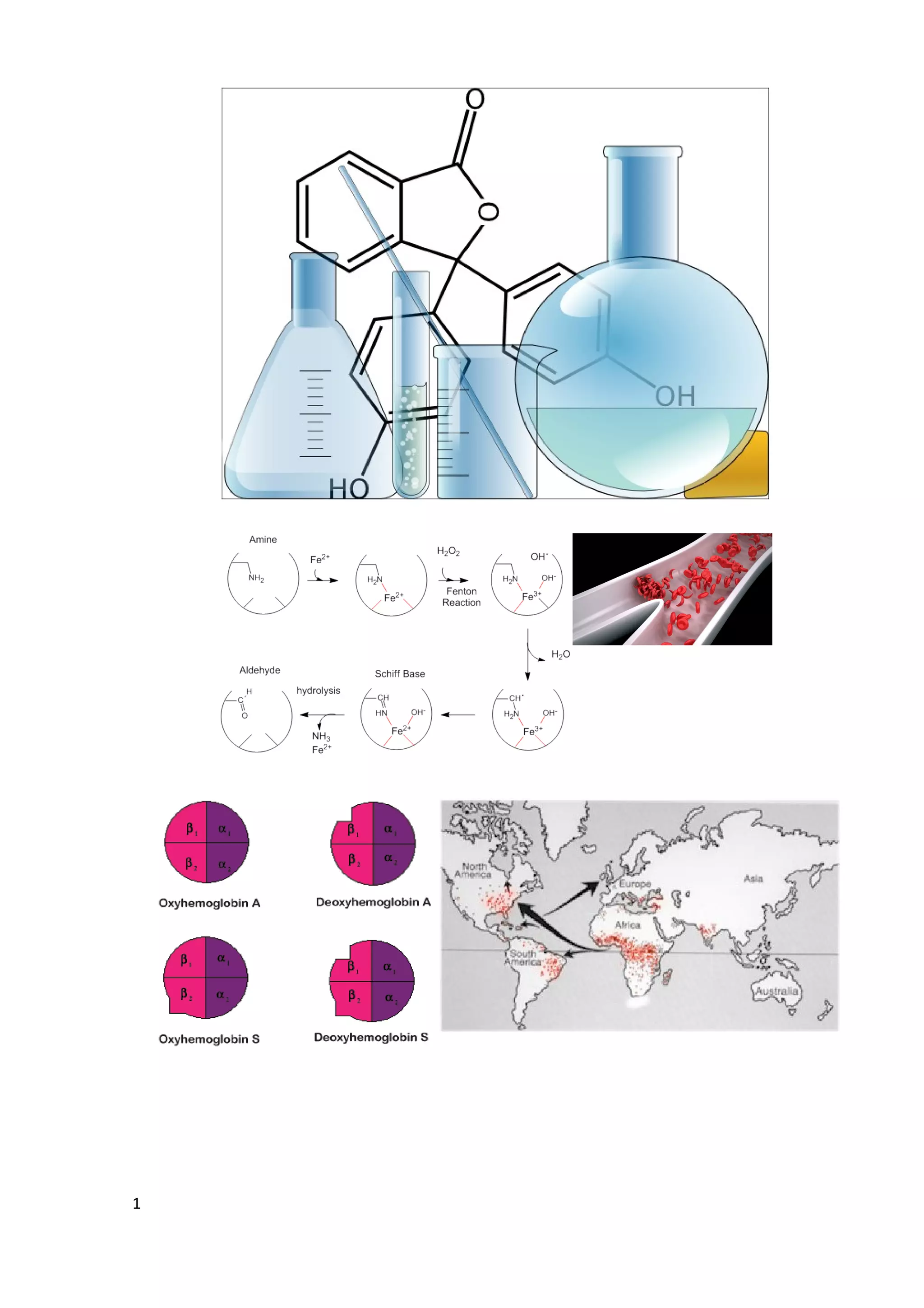 Fibrous protein & Globular protein | DOC