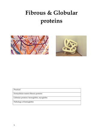 Fibrous protein & Globular protein | DOC