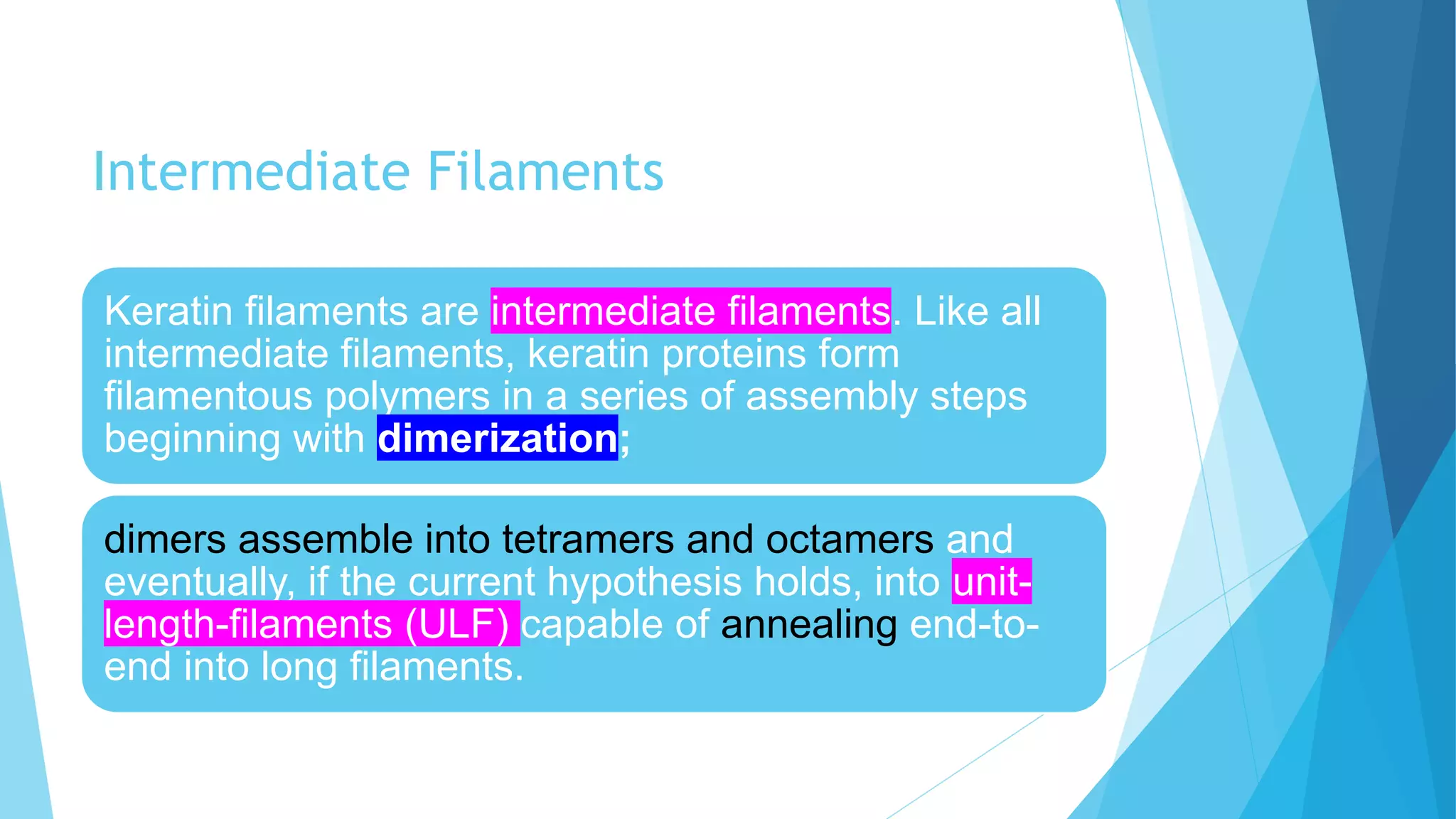 Fibrous proteins | PPTX