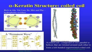 Keratin Tertiary Structure