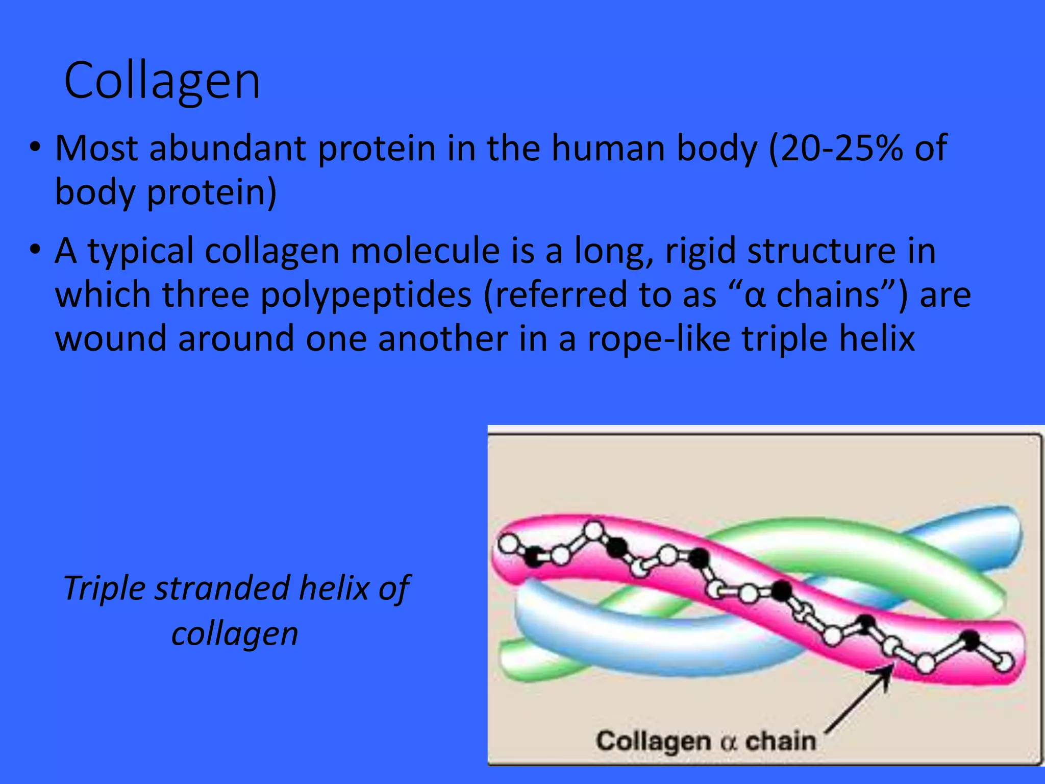 Fibrous proteins (biochem) | PPTX