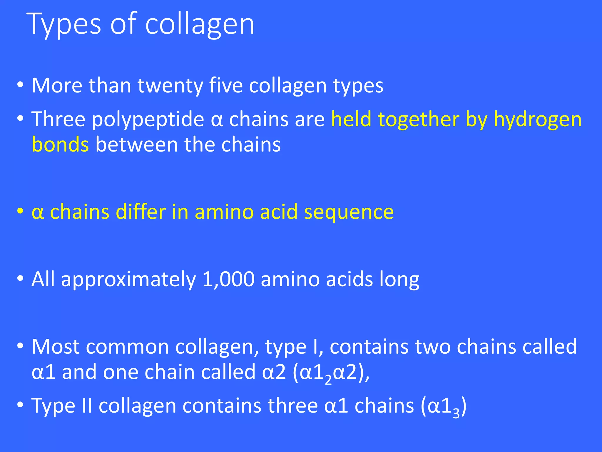 Fibrous proteins (biochem) | PPTX