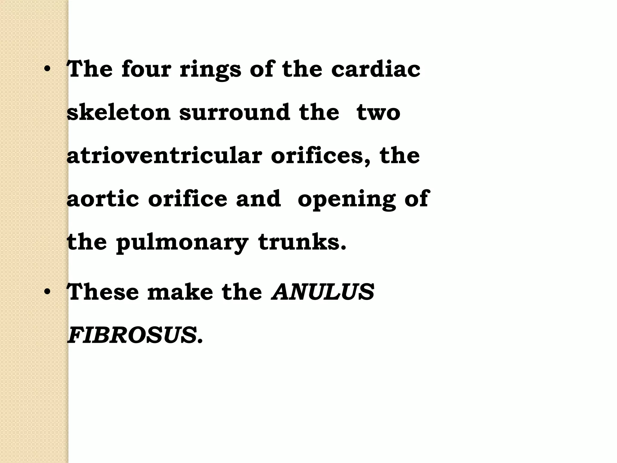 Fibrous skeleton & conducting system 2020 | PPTX