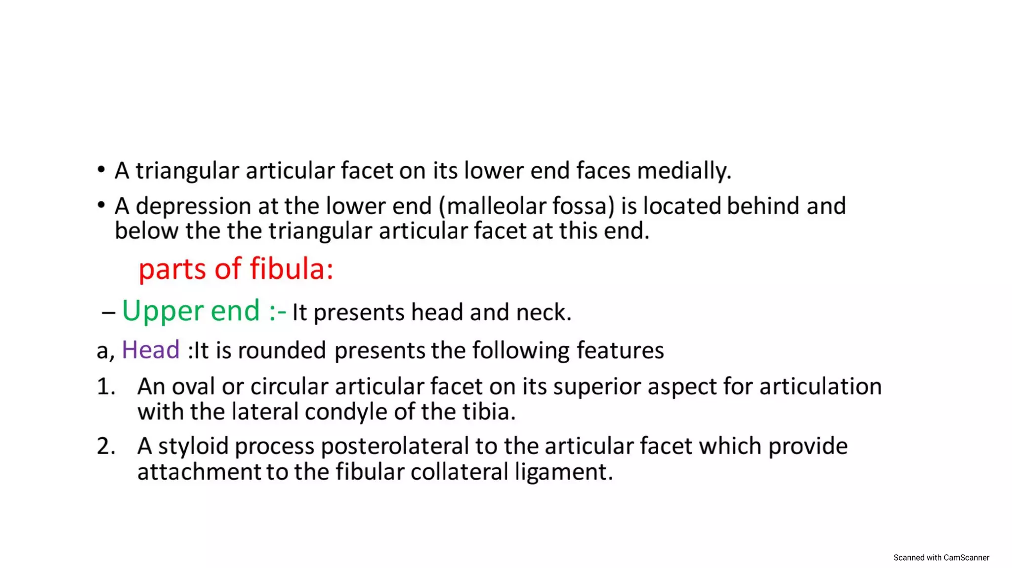 Fibula | PPT