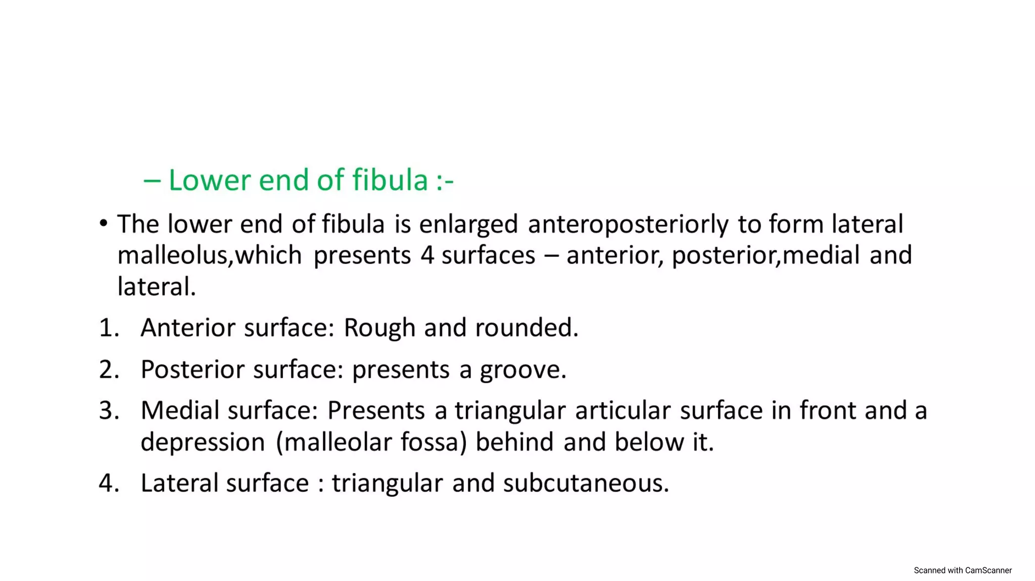 Fibula | PPT