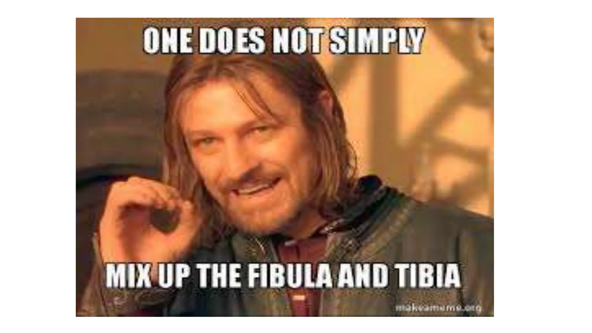 FIBULA Leg anatomy bones presentation pptx | PPTX