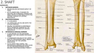 FIBULA Leg anatomy bones presentation pptx | PPTX