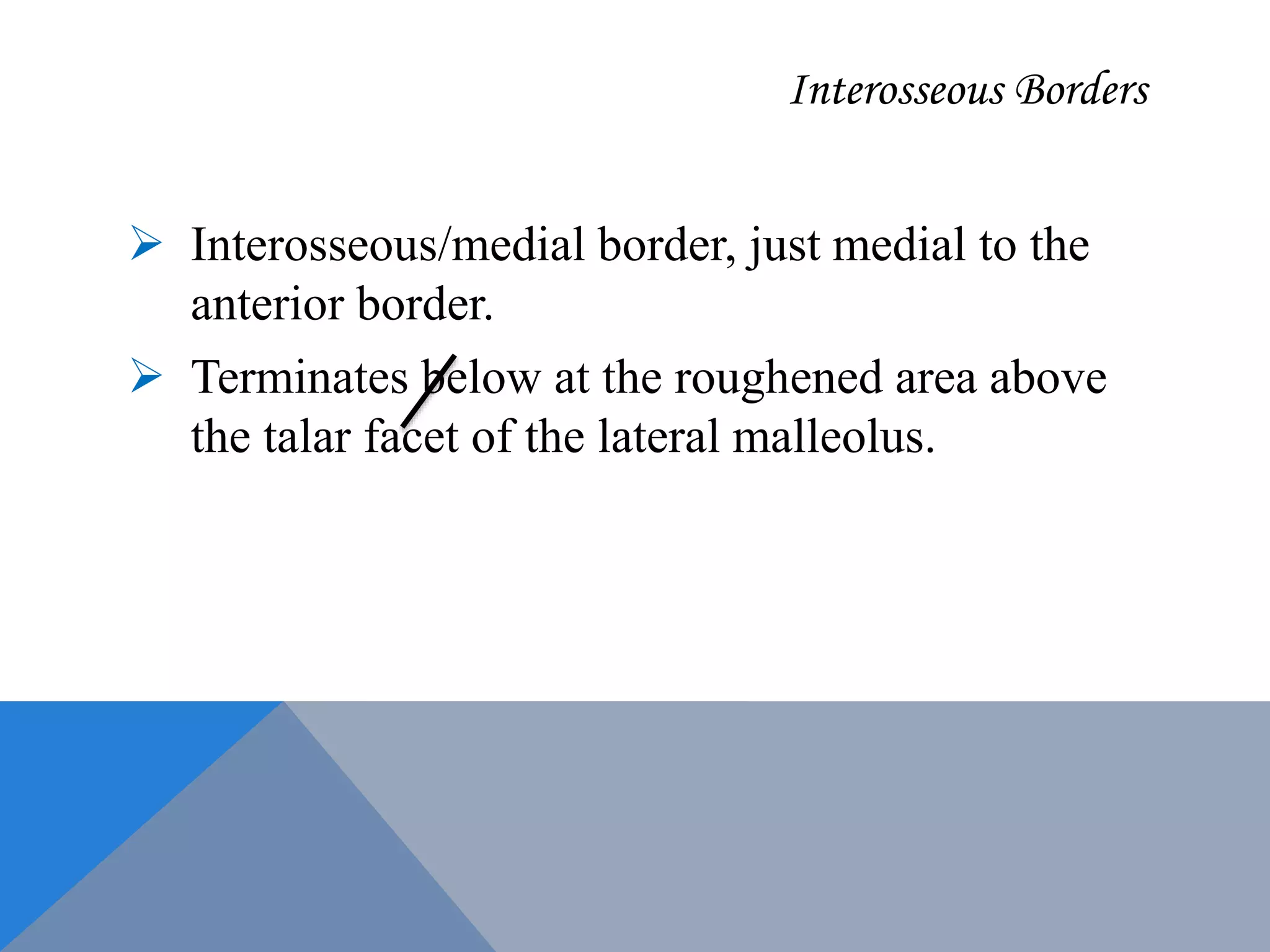 Fibula bone Anatomy | PPTX