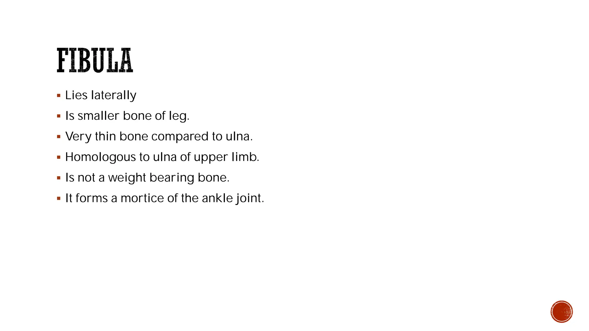 Fibula final.pdf | Free Download