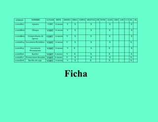 Ficha | PPT