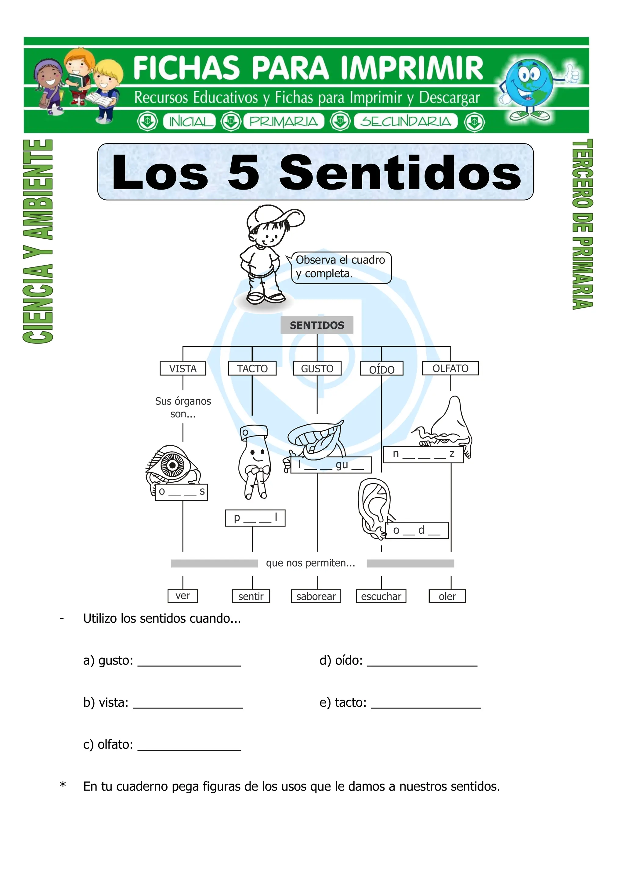 Cuadro De Los 5 Sentidos