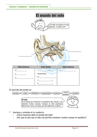 Ficha-de-Los-5-Sentidos-para-Tercero-de-Primaria.pdf