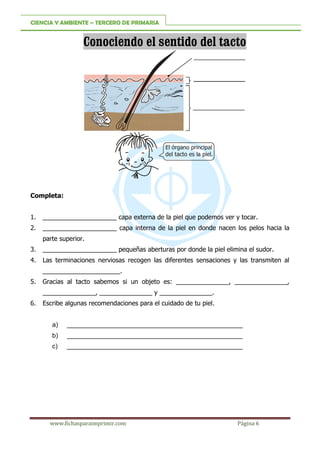 Ficha-de-Los-5-Sentidos-para-Tercero-de-Primaria.pdf