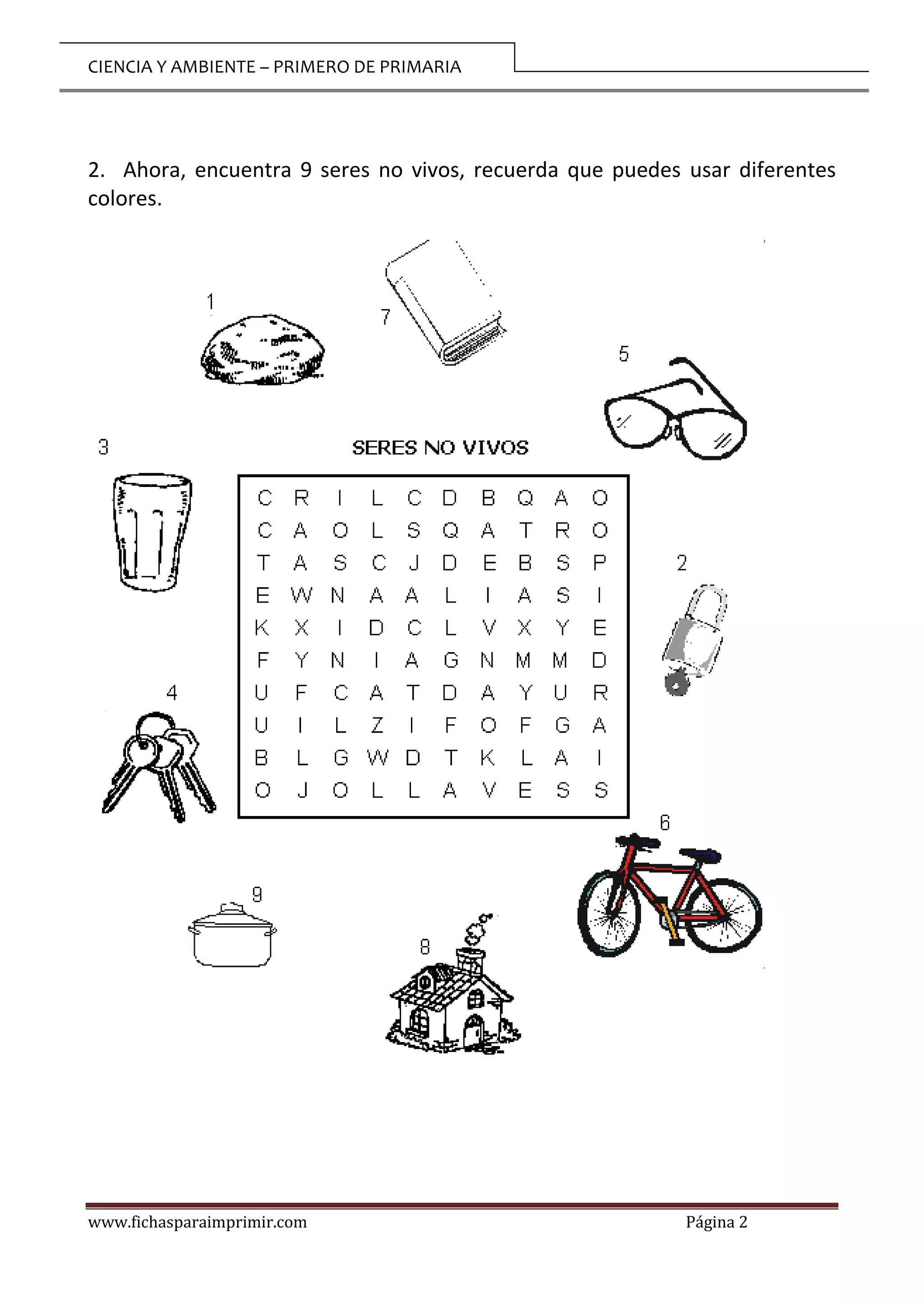 Ficha De Seres Vivos Y No Vivos Para Primaria Images