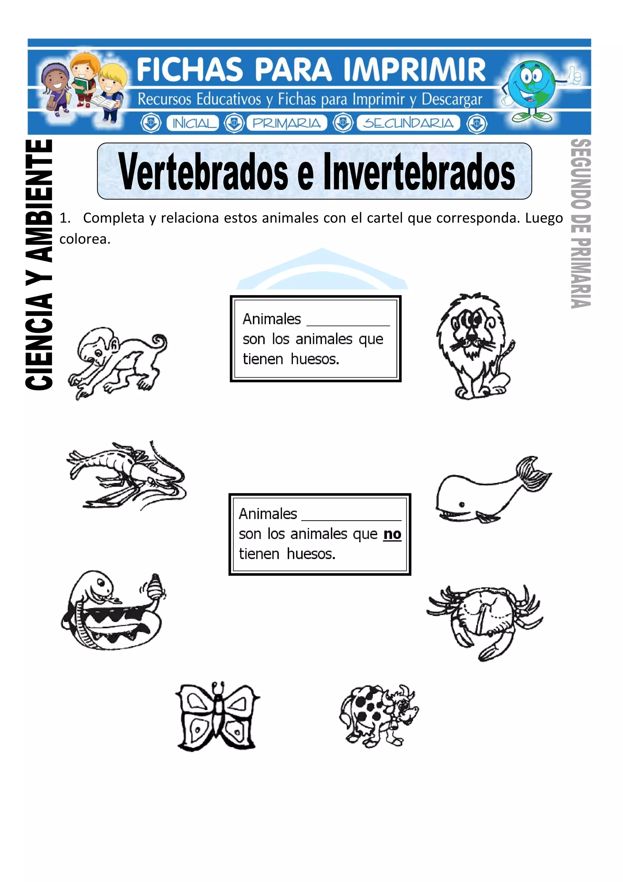 Los Animales Vertebrados E Invertebrados Para Segundo Grad N Los Animales Vertebrados E Invertebrados Para Segundo Grad N