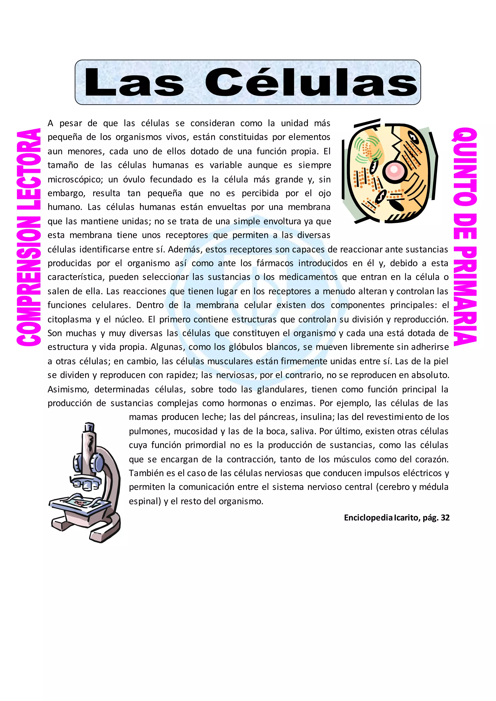 Ficha-Las-Celulas-para-Quinto-de-Primaria.doc