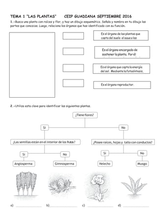 Ficha 1 c. naturales sep.2016