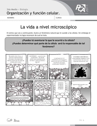 Ficha De Trabajo De Las Partes De Una Celula Animal