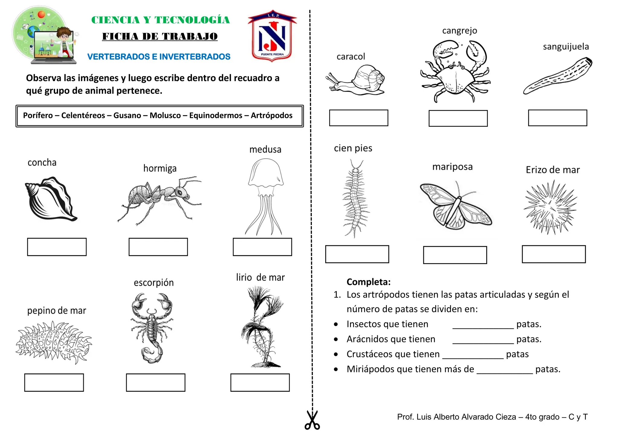 Fichas Animales Vertebrados E Invertebrados
