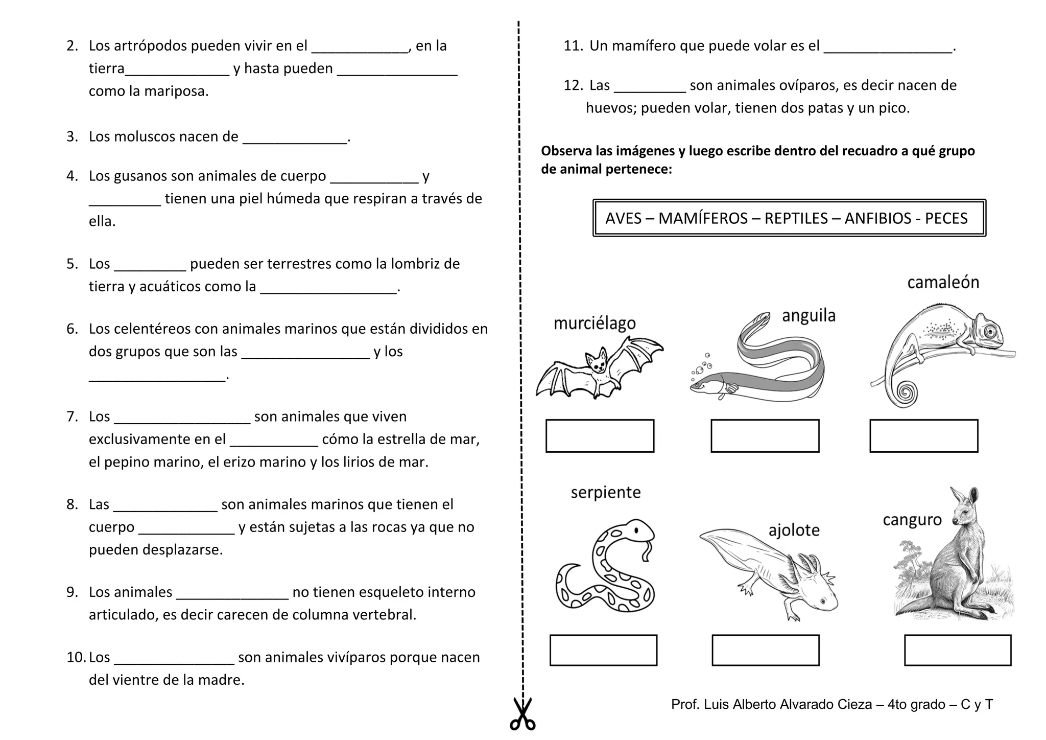 FICHA 4TO VERTEBRADOS E INVERTEBRADOS.pdf
