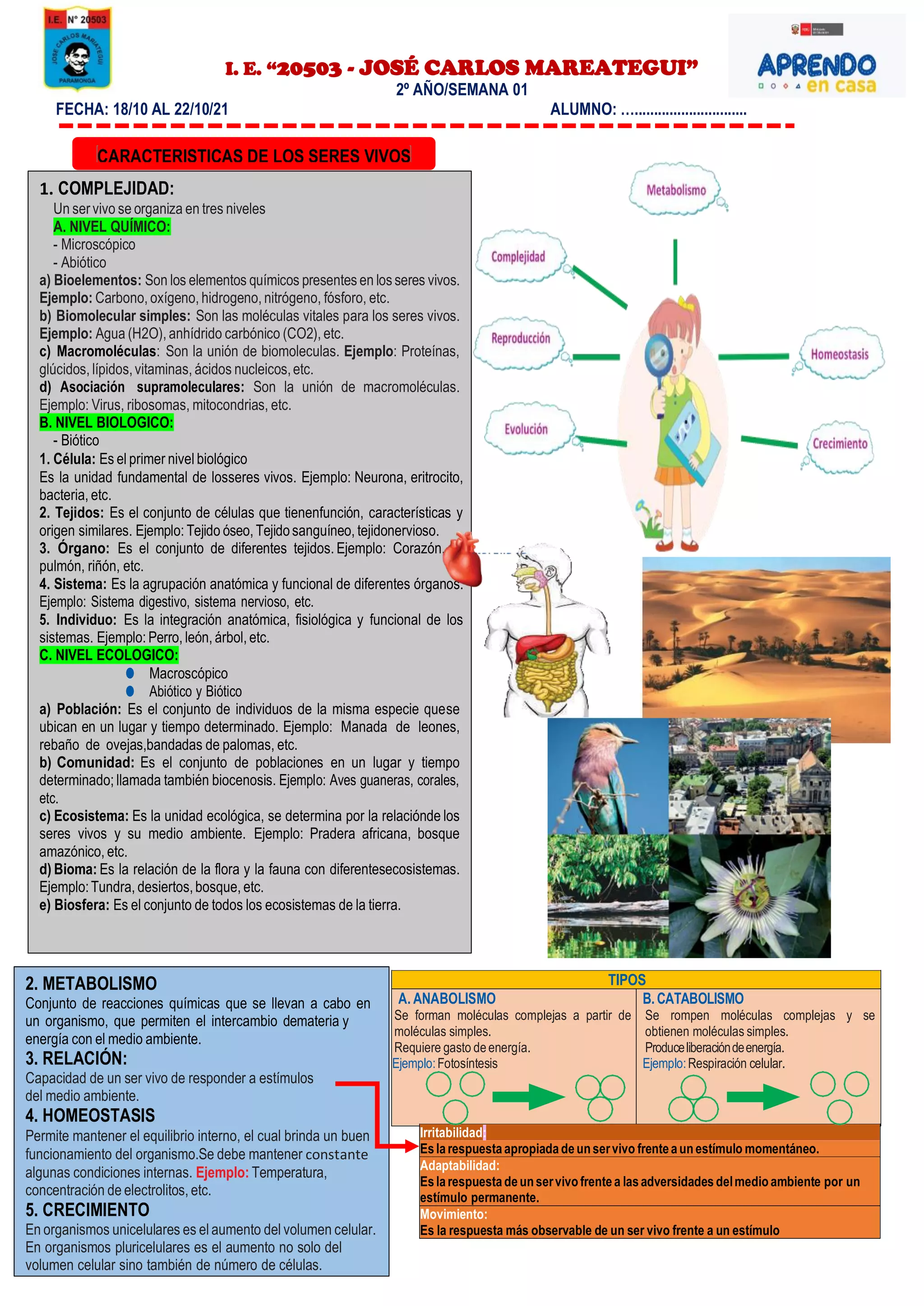FICHA DE ACTIVIDADES SEMANA 2-2DO.AÑO.COMPONENTES BIOLOGICOS.pdf