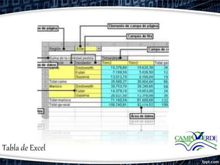 Ficha de datos de excel | PPTX