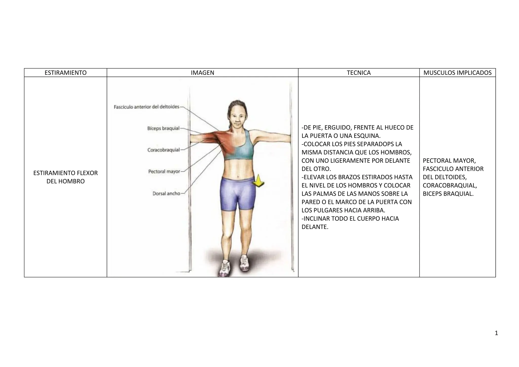 Ficha de estiramientos estáticos más importantes | PDF