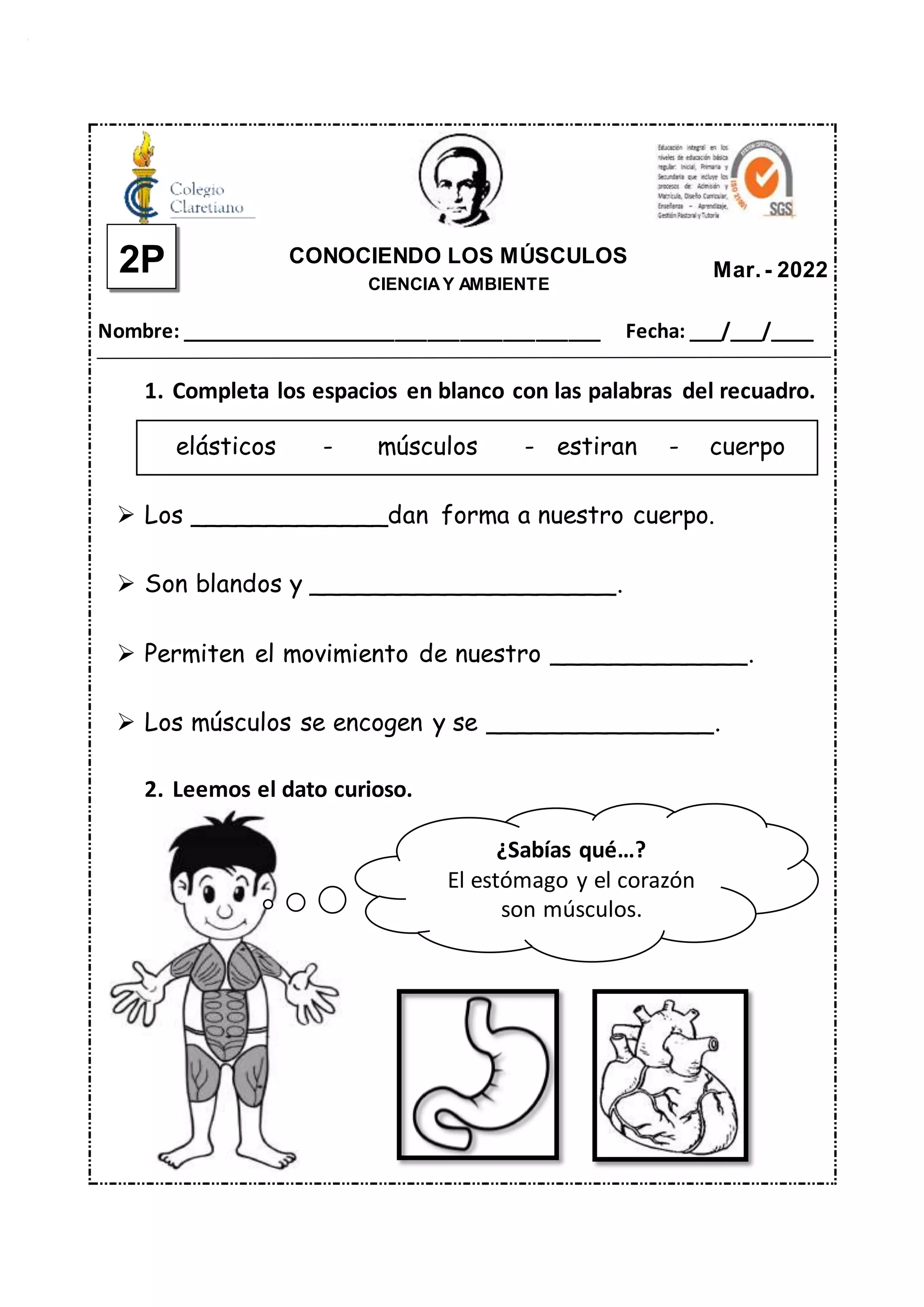 FICHA DE LOS MÚSCULOS.docx
