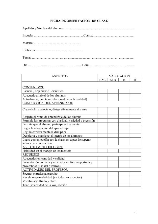 Ejemplo De Una Ficha De Observacion