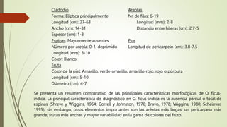FICHA DE PLANTA Nopal.pptx