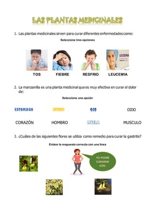 ficha de plantas medicinales.docx