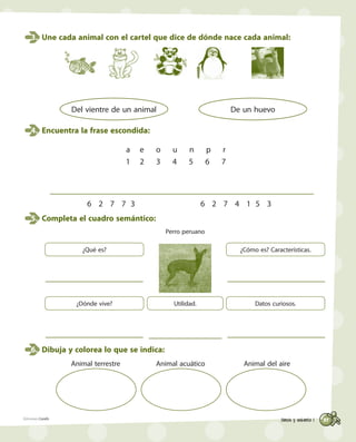 Ficha de trabajo - Animales | PDF