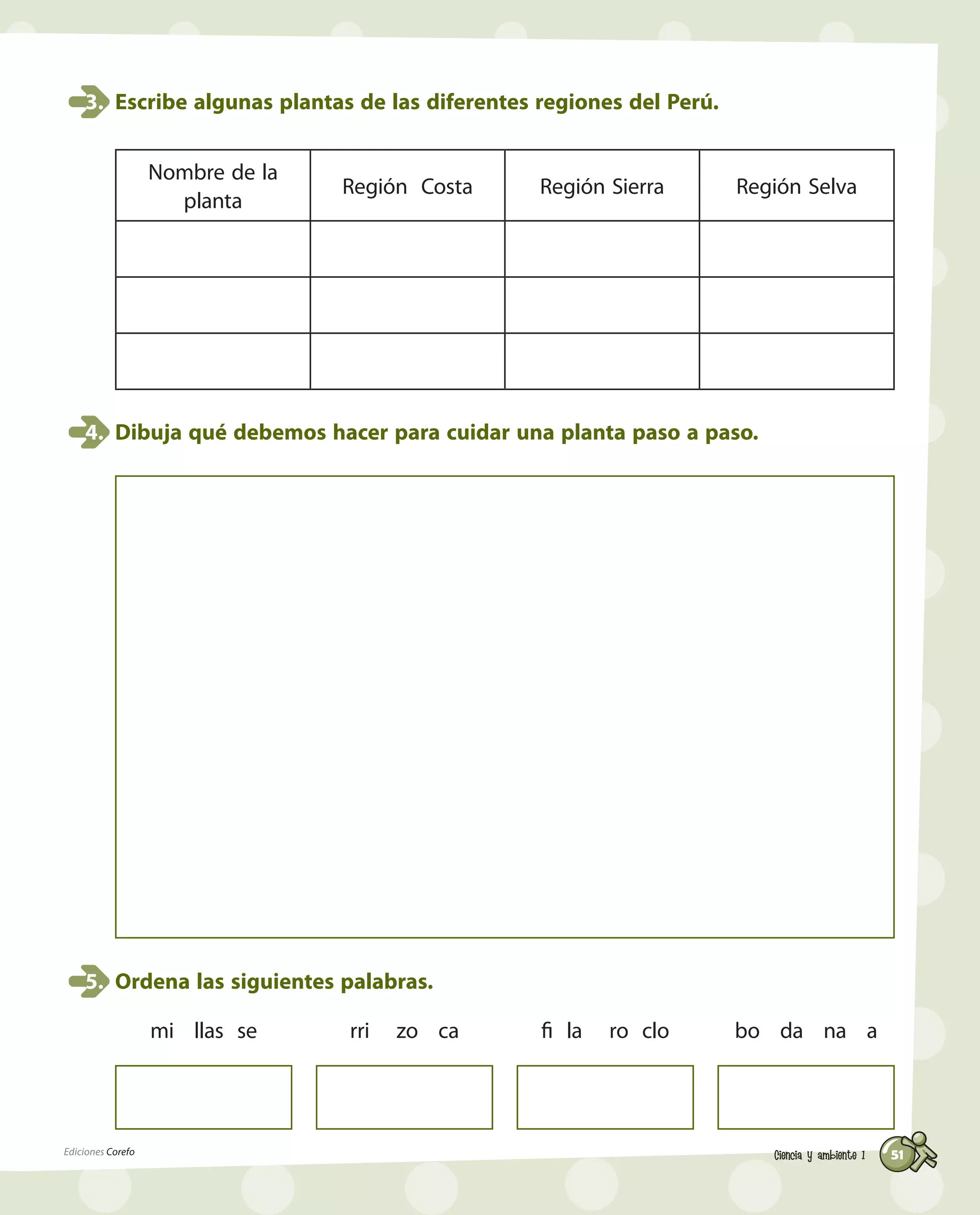 Hoja De Trabajo Sobre Las Partes De Una Planta Ficha De Las Partes De