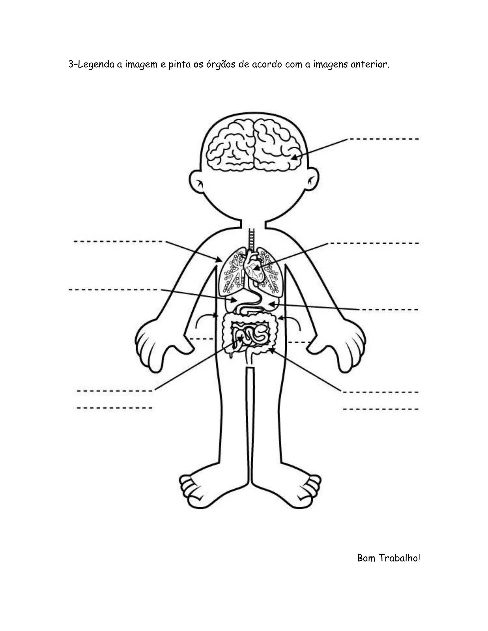 Ficha de Trabalho - Corpo Humano.docx