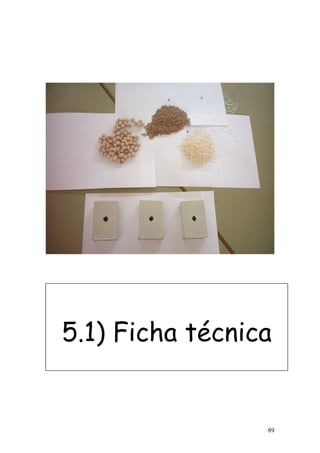 Ficha el juego de las semillas. | PDF