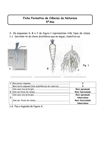 Ficha form1 cn | PDF