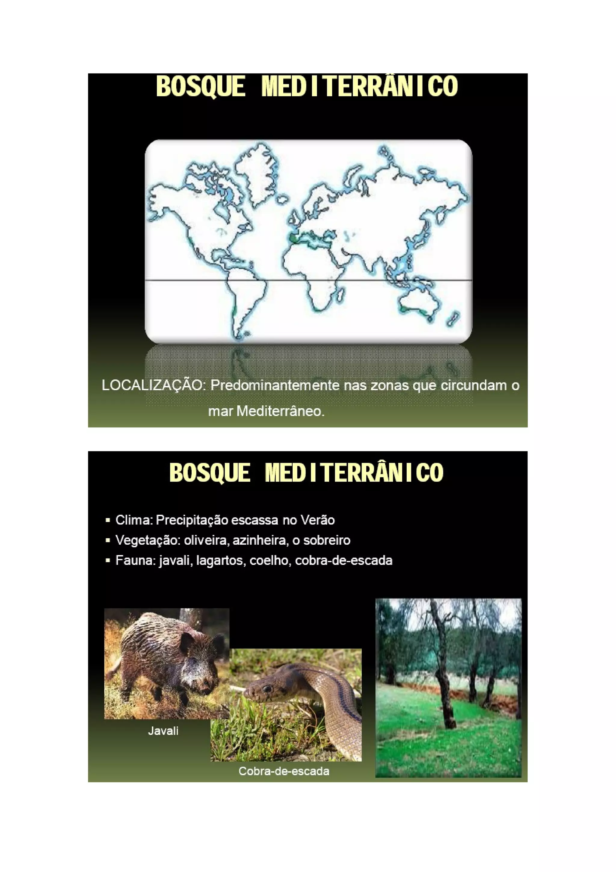 Ficha informativa nº 4 biomas terrestres envio | PDF