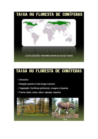 Ficha informativa nº 4 biomas terrestres envio | PDF