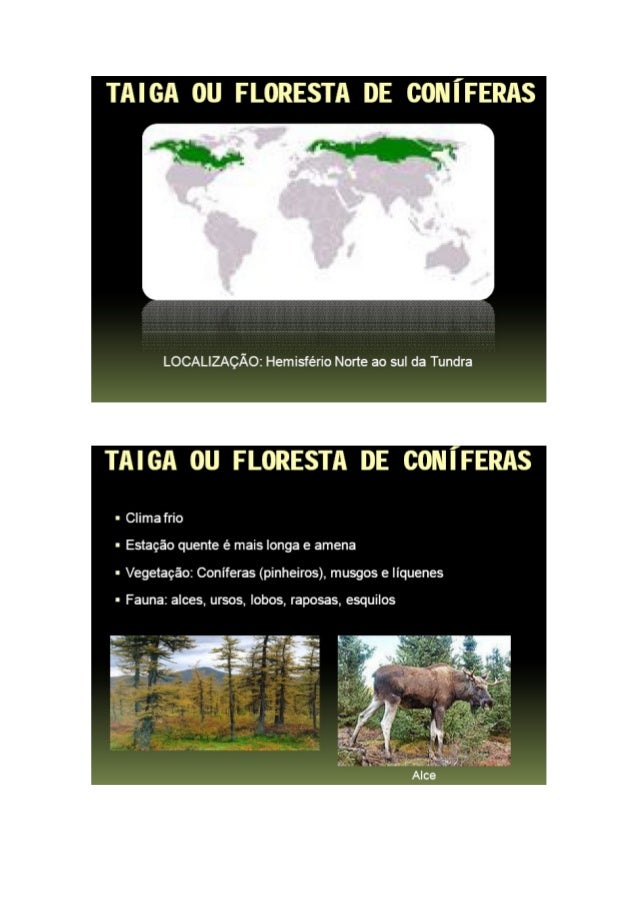 Ficha informativa nº 4 biomas terrestres envio