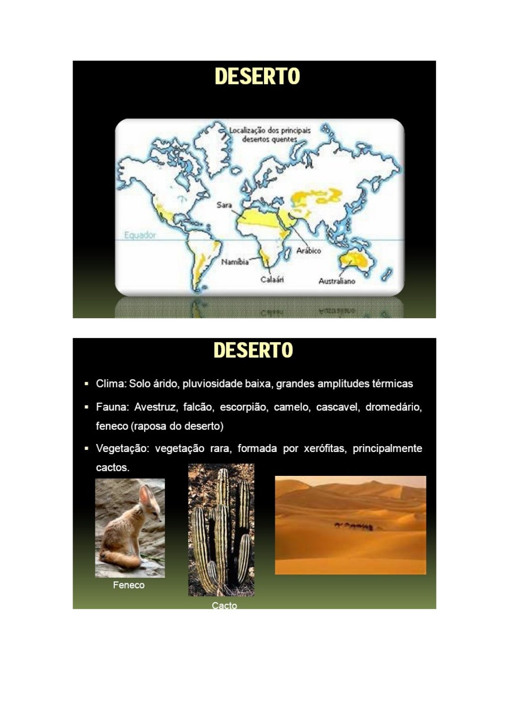 Ficha informativa nº 4 biomas terrestres envio