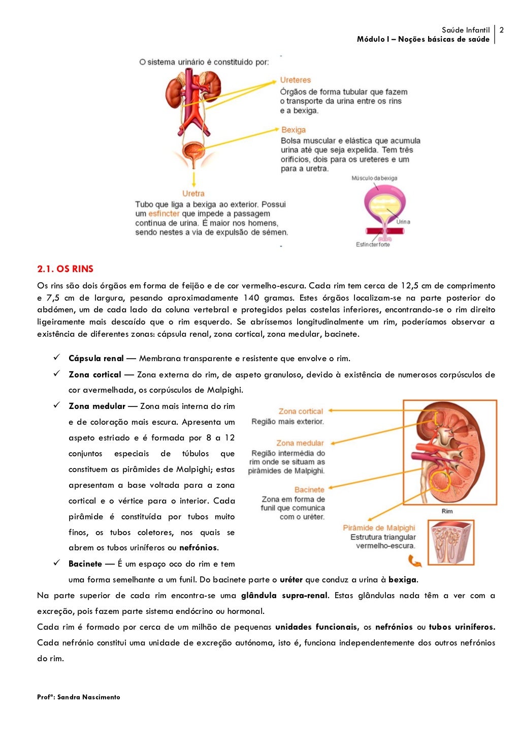 Sistema Excretor Exercicios Com Gabarito Exercicios Web – Eroppa Sistema Excretor Exercicios Com Gabarito Exercicios Web – Eroppa