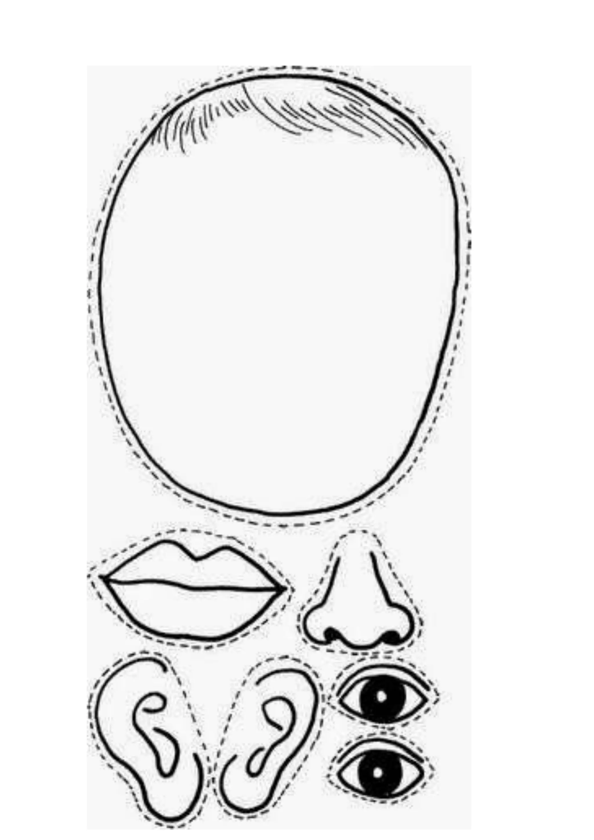 Ficha partes de la cara | DOCX