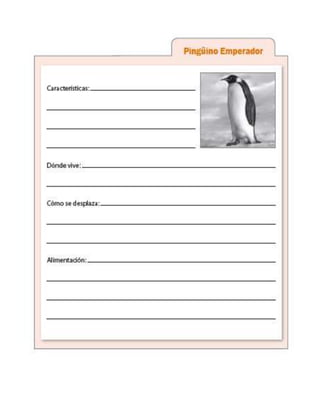 Ficha pinguino | DOCX
