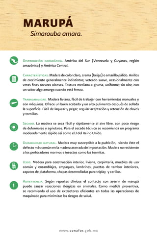 Fichas tecnicas-de-maderas | PDF